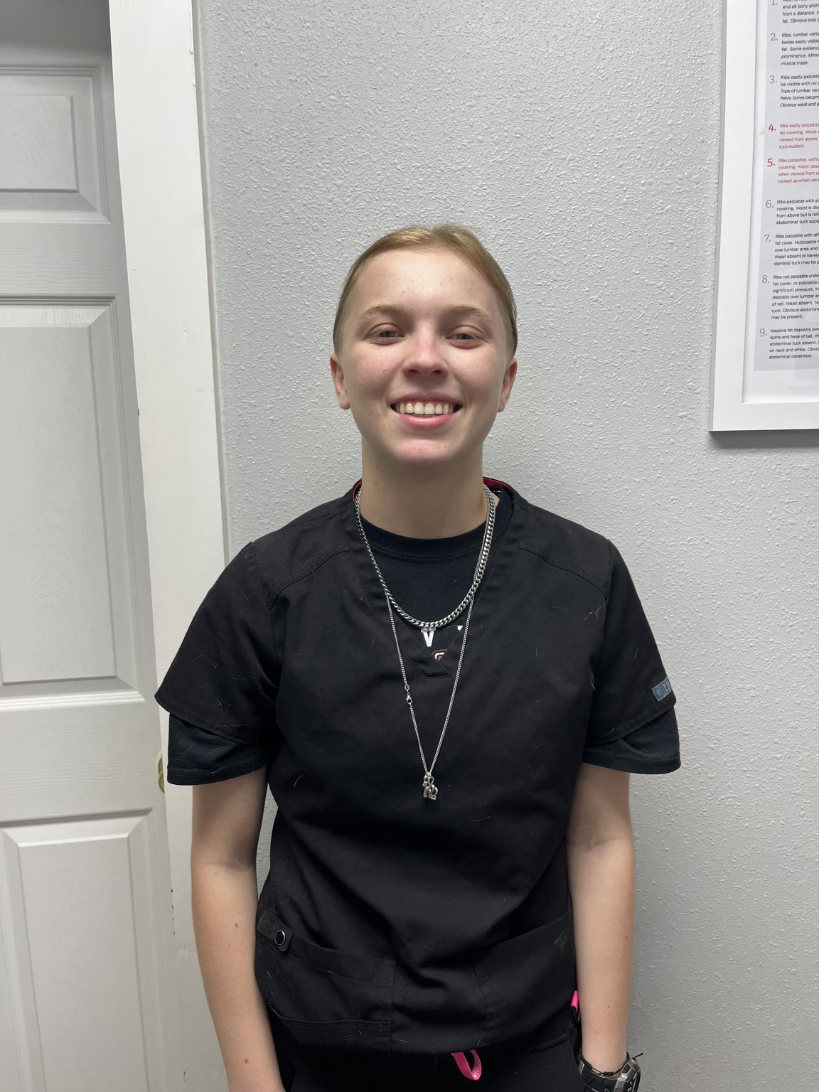 DrMark.Vet — Advancing Veterinary Medicine Through Innovation, Clinical ...